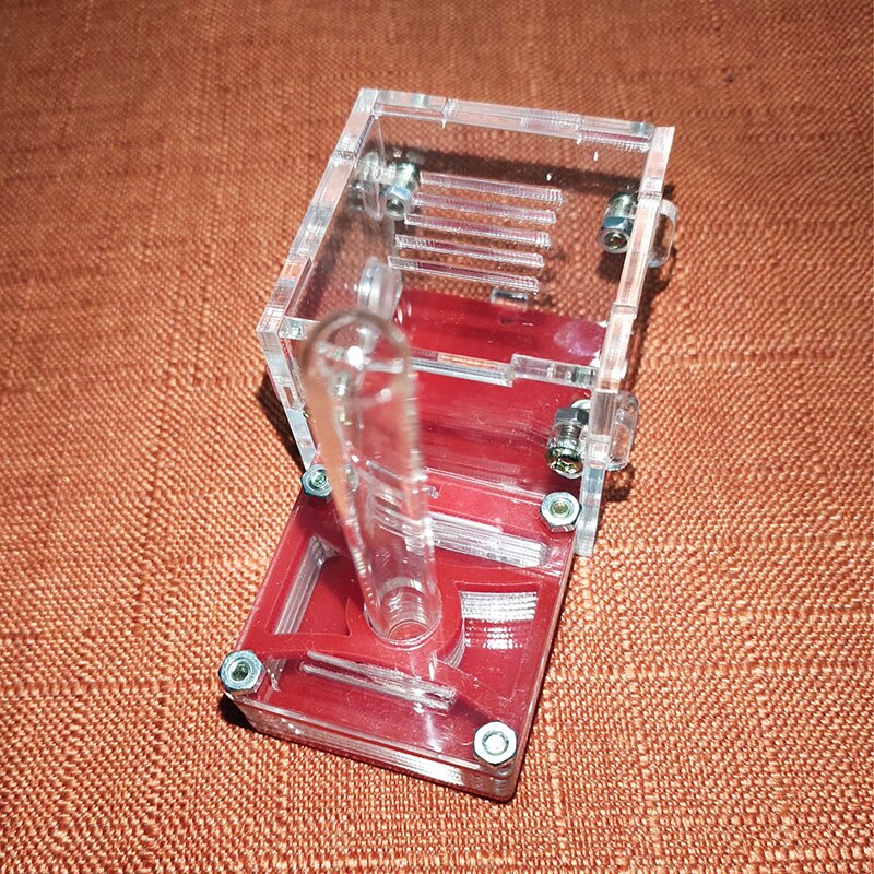 Mini Queen Ant Nest Ant Workshop Acrylic Farm Smal... – Vicedeal