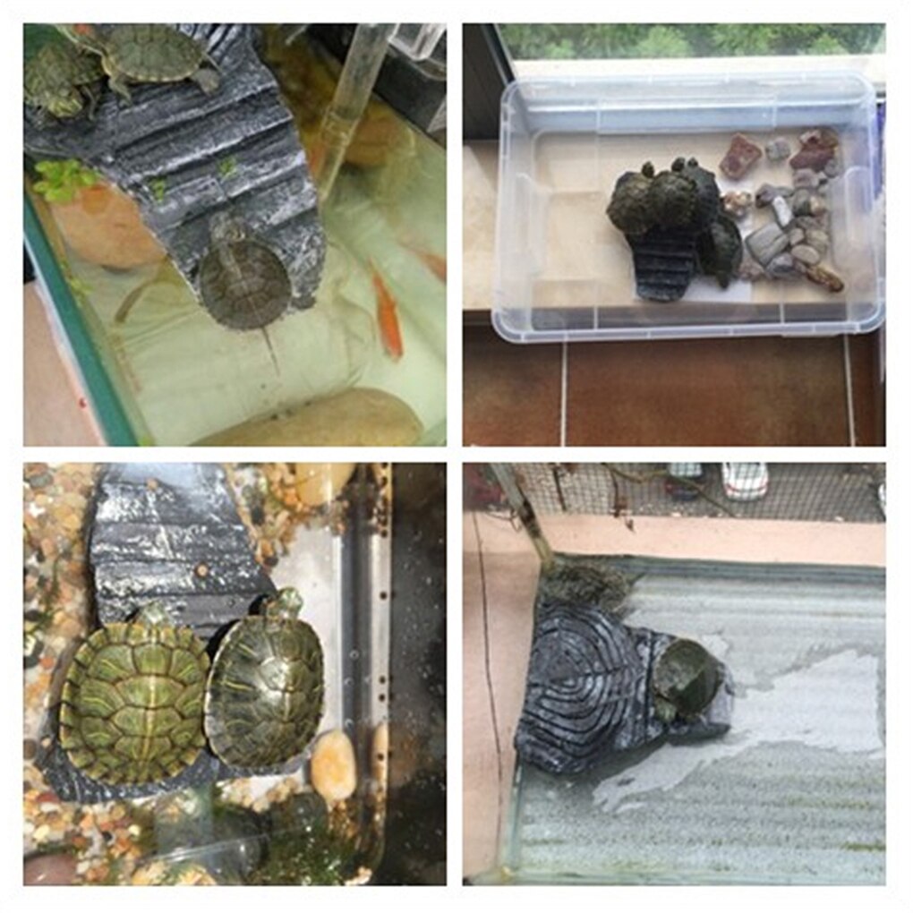 Unique Resin Turtle Amphibians Tortoise Basking Re... – Grandado