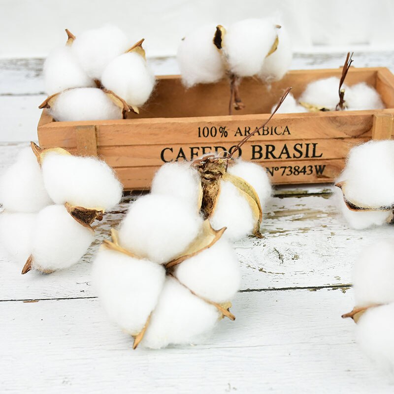 Naturally Dried Cotton Flower White Cotton Florist... – Vicedeal