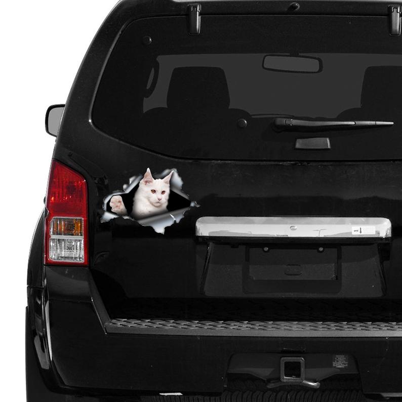 Wit Maine Coon Auto Decal, Witte Kat Decal, Wit Ma... – Grandado