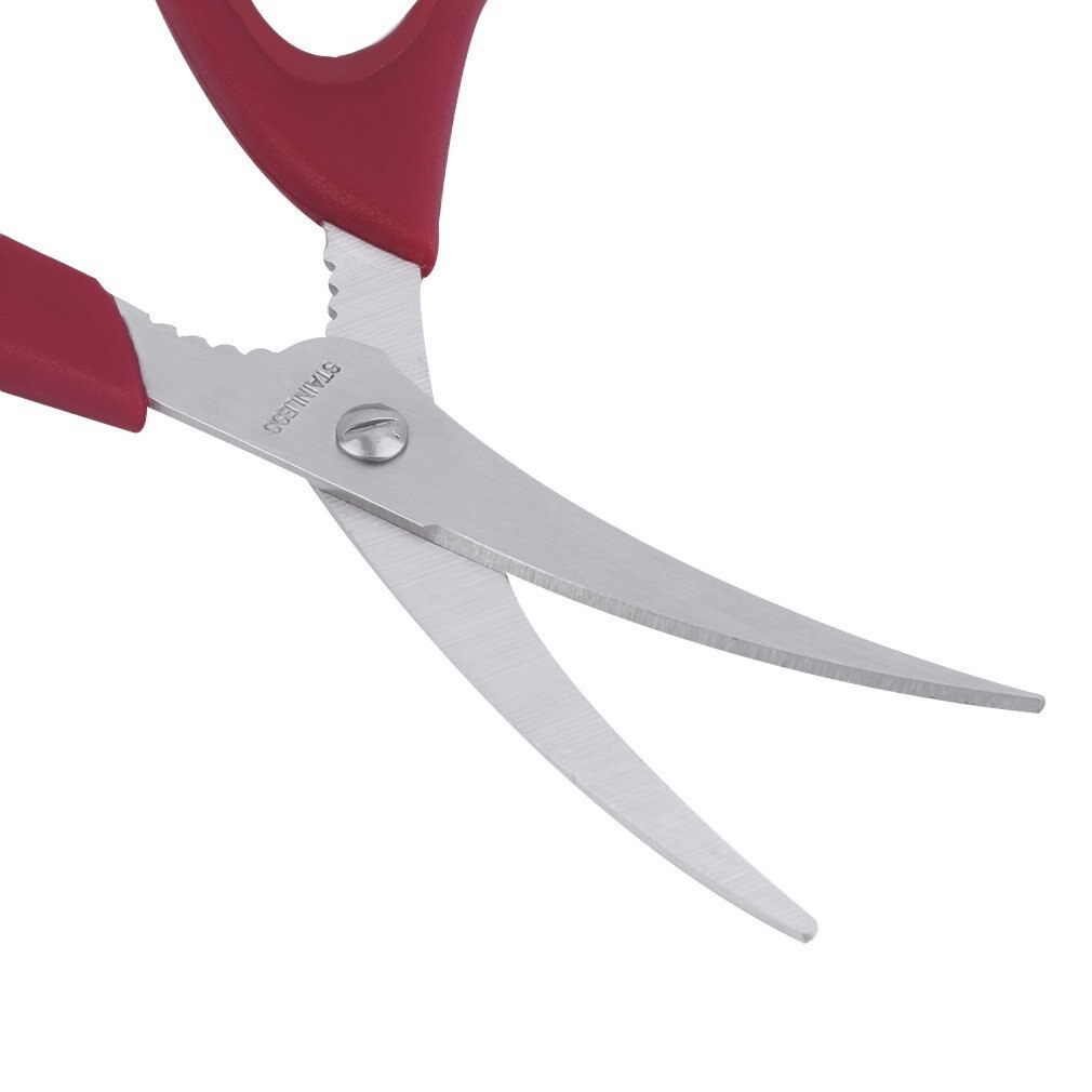 Høj ydeevne hummer fisk rejer krabbe skaldyr saks ... – Grandado