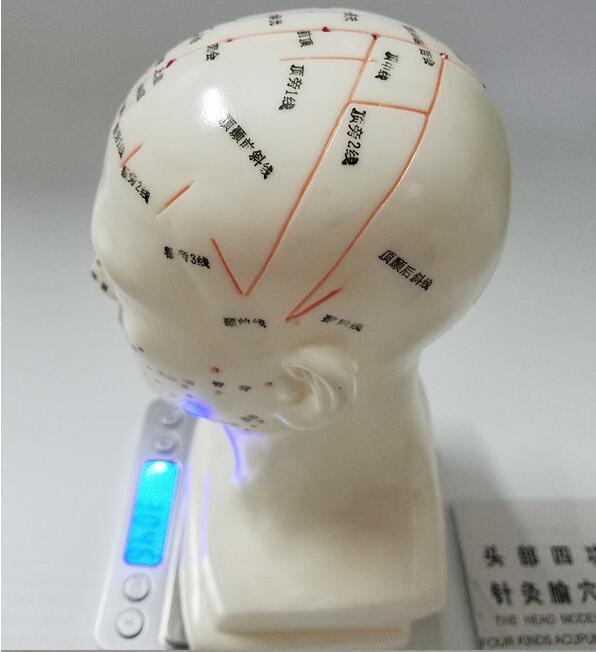 Meridiaan Model Pvc Menselijk Acupunctuurpunt Huma... – Grandado