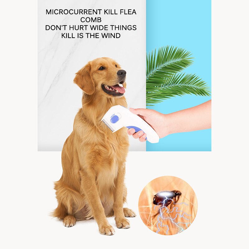 Huisdier Vlooien Luizen Cleaner Kam Elektrische Fl... – Grandado