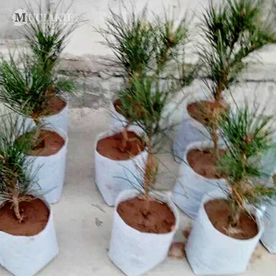 MUCIAKIE Tree Root Control Bags Non Woven Fabric F... – Vicedeal