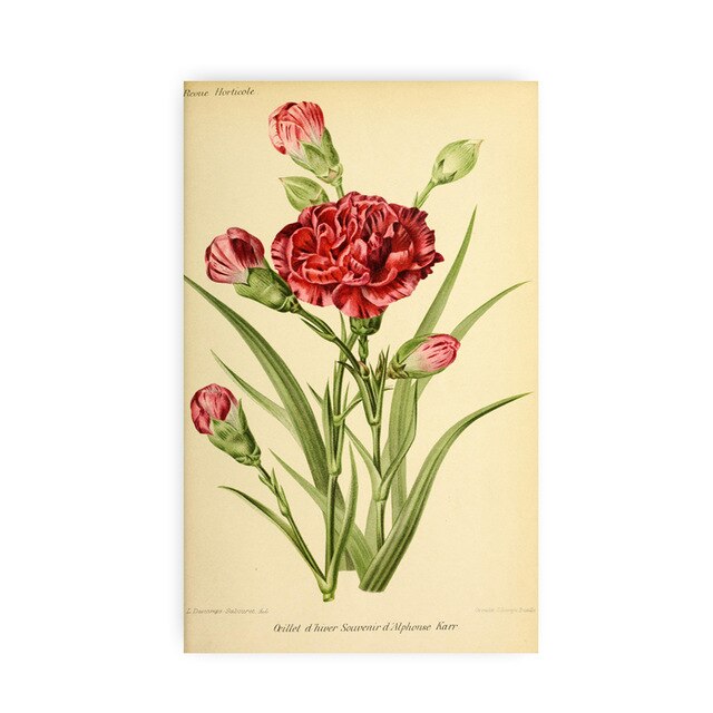 Vintage Botanical Floral Posters Art Prints Rustic... – Grandado