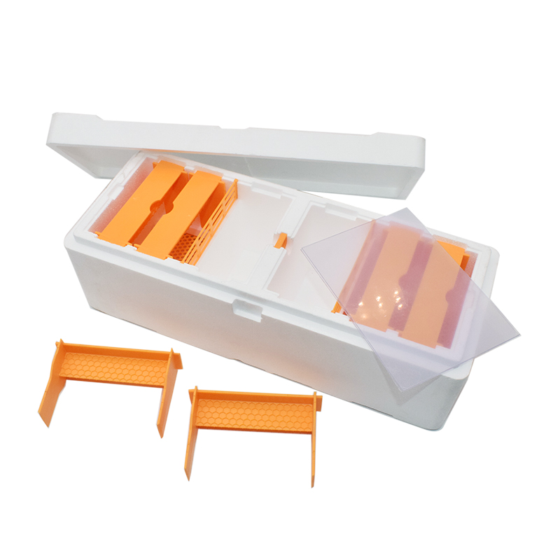 High Strength EPS Bee Hive Mini Mating Box Mating ... – Grandado