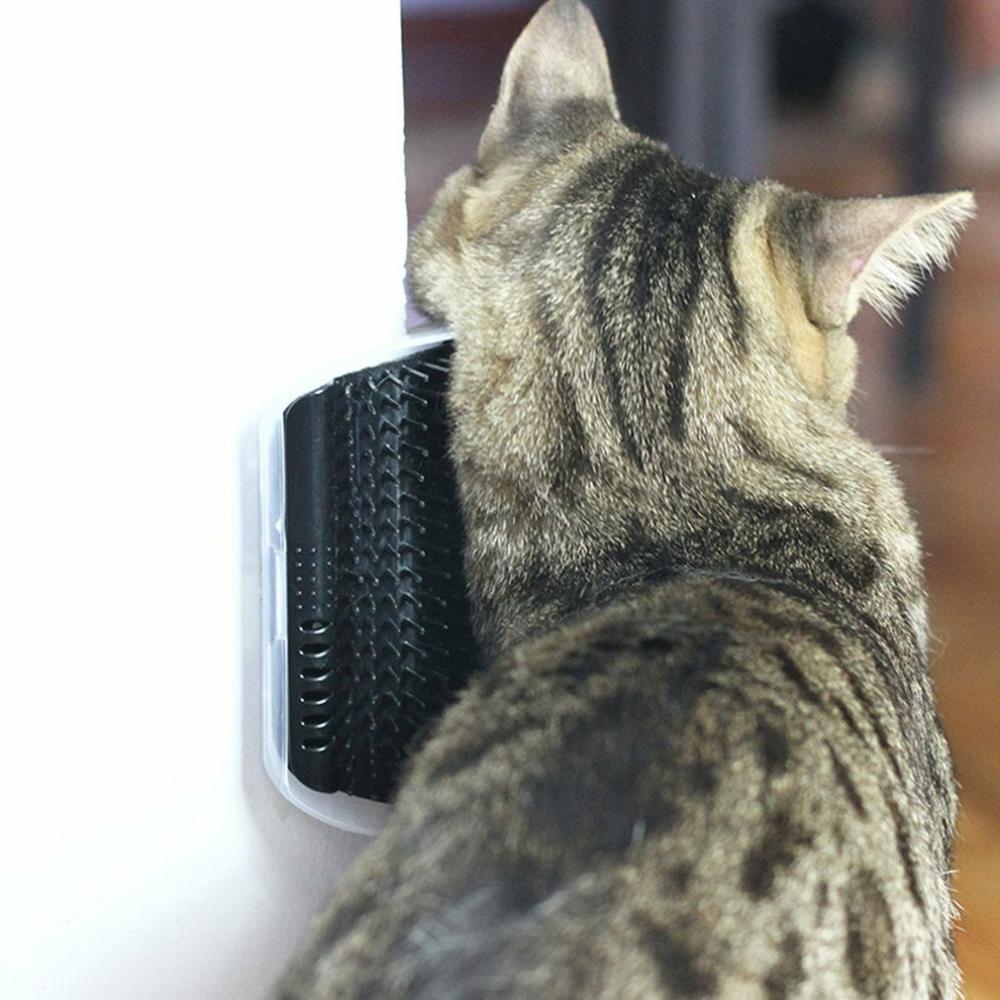 Huisdier Producten Voor Katten Borstel Hoek Kat Ma... – Grandado Huisdier Producten Voor Katten Borstel Hoek Kat Ma... – Grandado