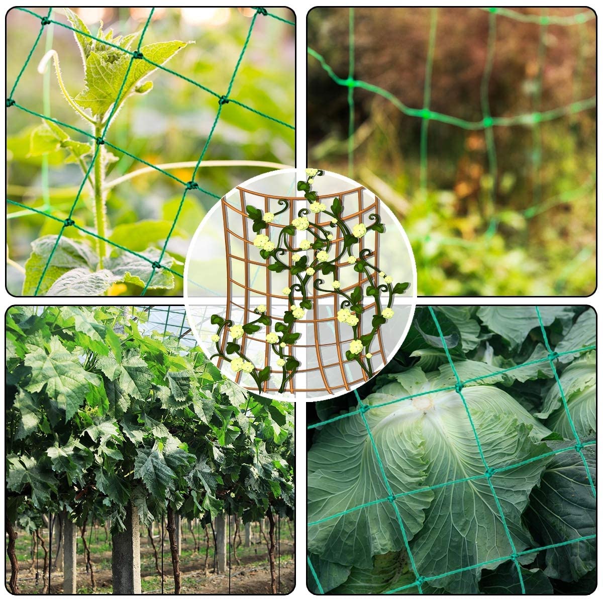 Nylon Net Morning Glory Flower Vine Netting Suppor... – Grandado
