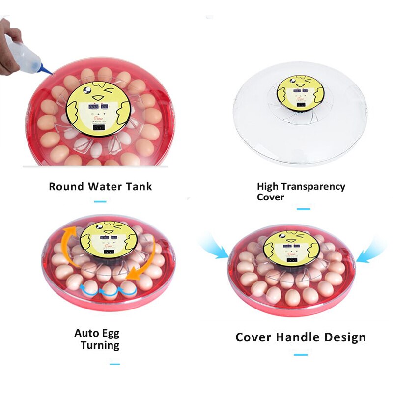 30s Eggs Digital Incubator High-Efficiency Automat... – Vicedeal