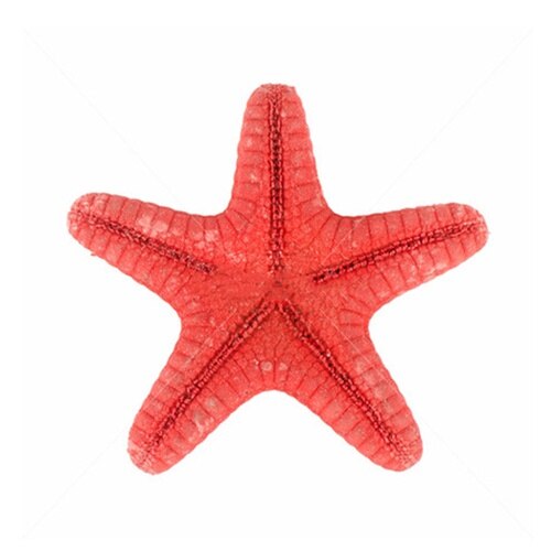 Mini Sea Star Plastic Rood 10 Stuks – Grandado
