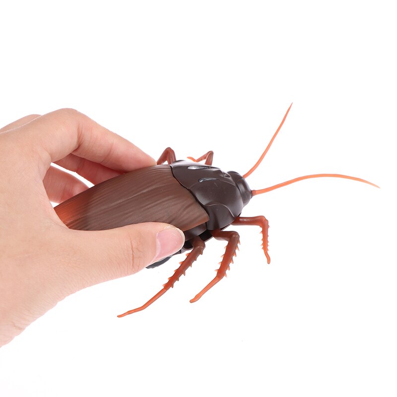 Infrared RC Remote Control Animal Insect Toy Kit C... – Grandado