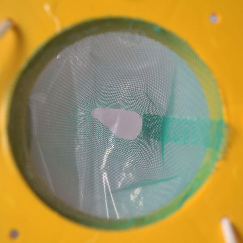 Moucherolle attrape-mouche Drosophila piège à mouc... – Grandado