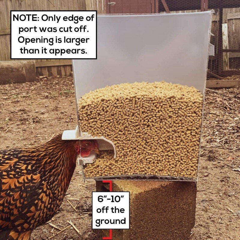 -Poultry Pro Feeder Chicken Feeder Saw Bucket Barr... – Grandado