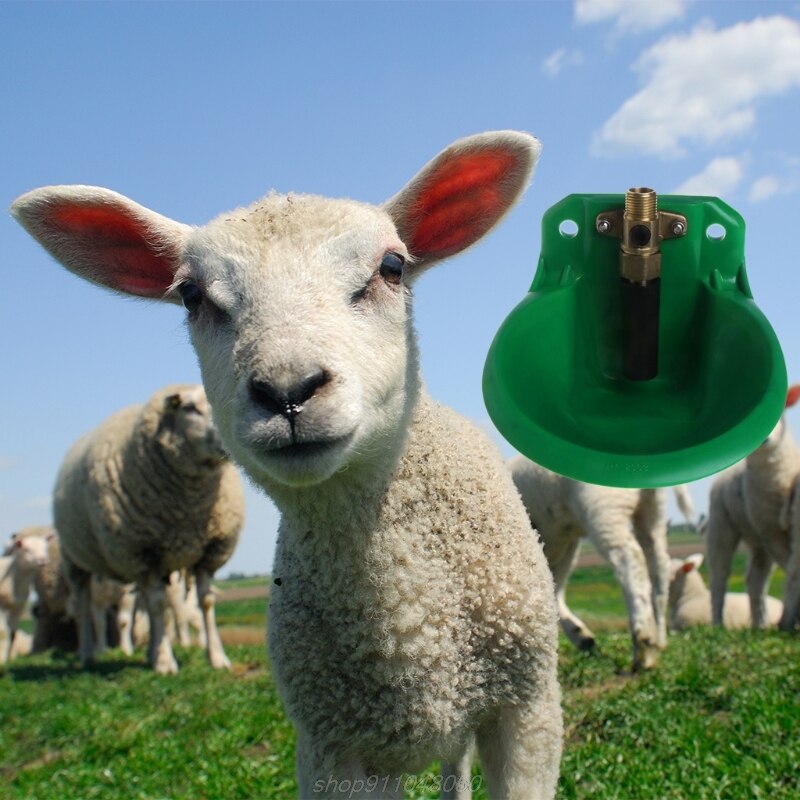 Automatic Sheep Water Bowl Copper Cattle Drinker V... – Grandado