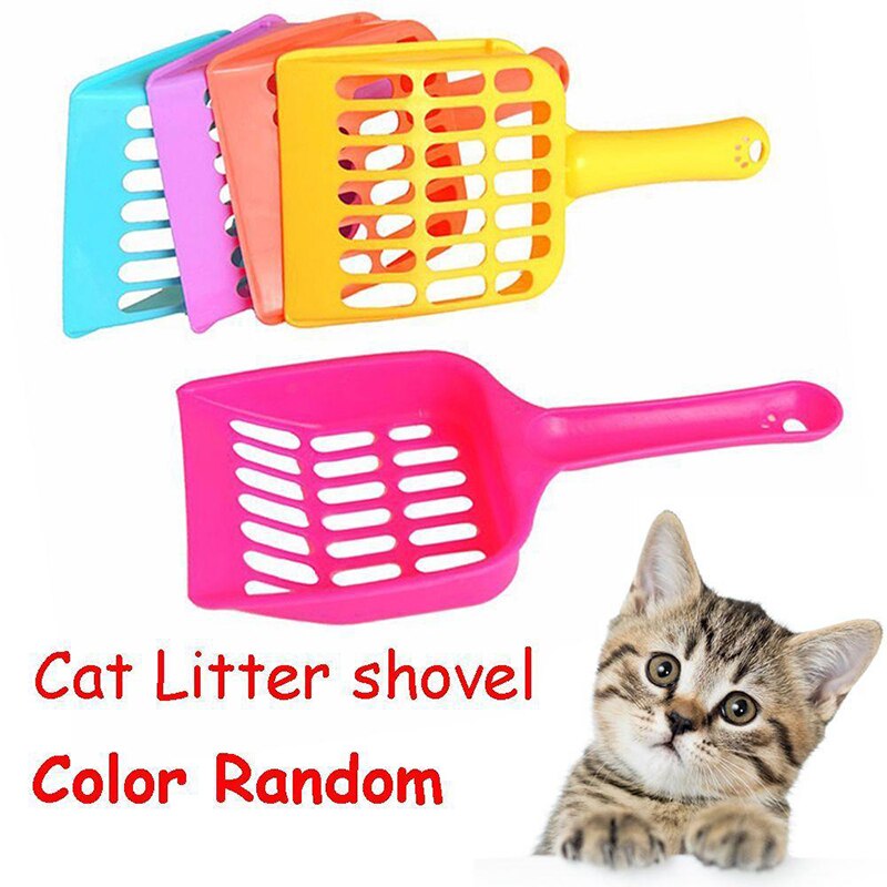 Huisdier Schoonmaken Kleur Levert Kattenbakvulling... – Grandado