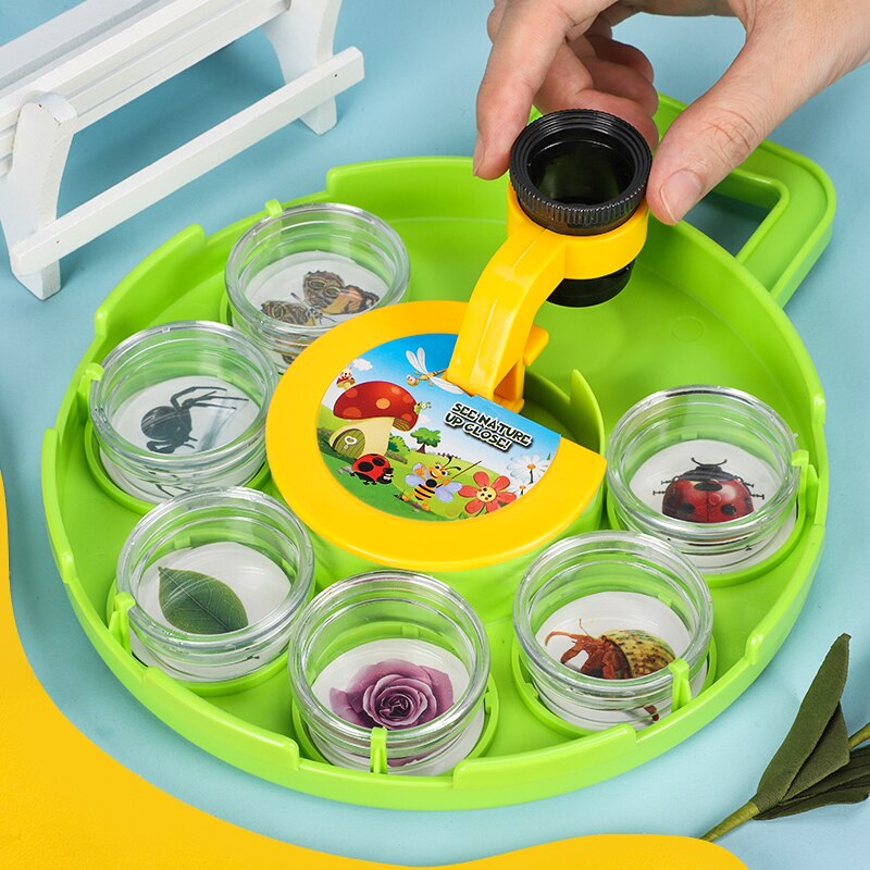 Draagbare Insect Observatie Doos Outdoor Explorati... – Grandado