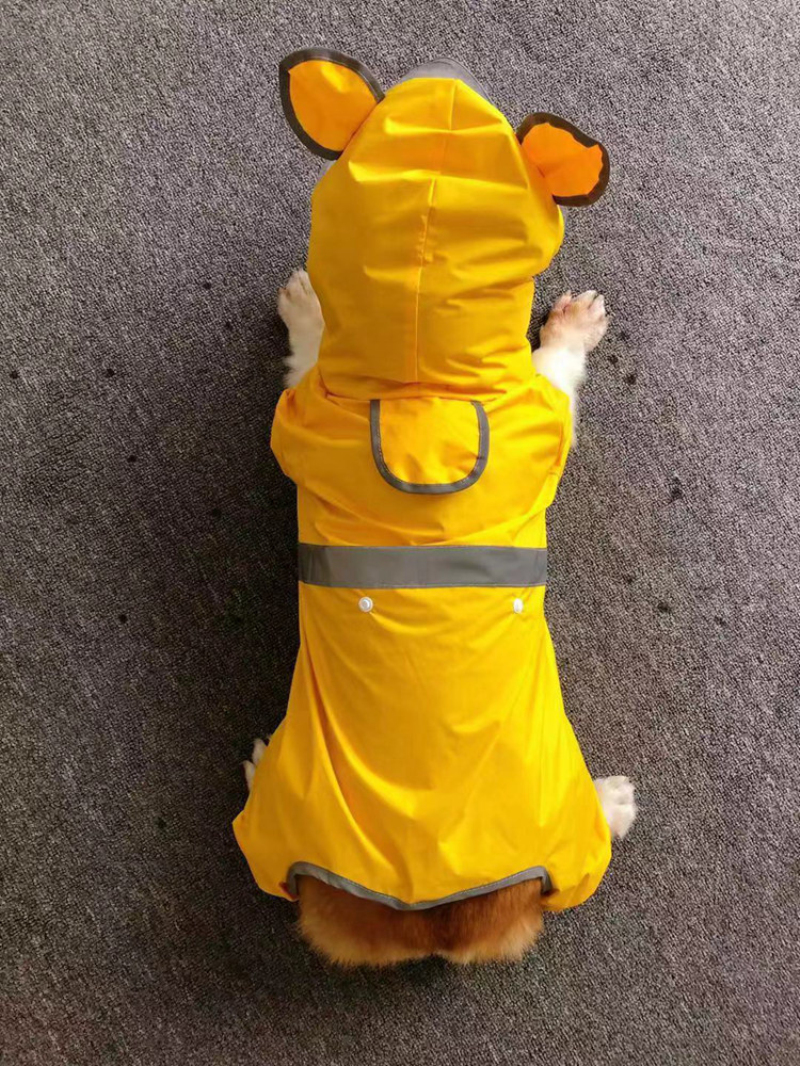 Welsh Corgi Dog Clothes Waterproof Pet Clothing Ju... – Grandado