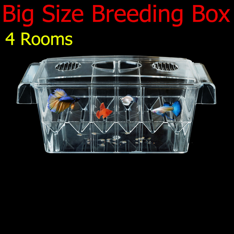 Big Size Acrylic Aquarium Floating Breeding Box 4 ... – Vicedeal