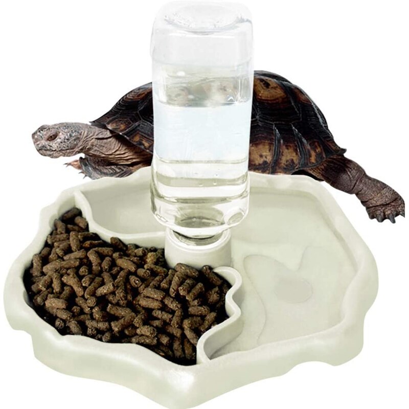 Automatic Reptile Feeders Waterer Automatic-Refill... – Grandado