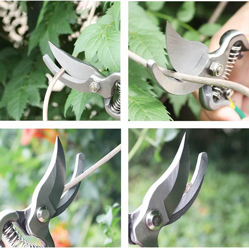 Pruner Orchard and The Garden Hand Tools Bonsai Fo... – Grandado