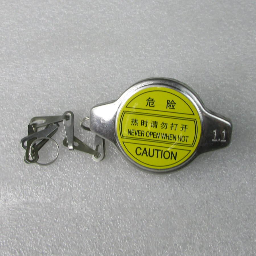 1Pcs Voor Byd F0 F3 F3R G3 G3R F6 S6 M6 G6 Radiato... – Vicedeal