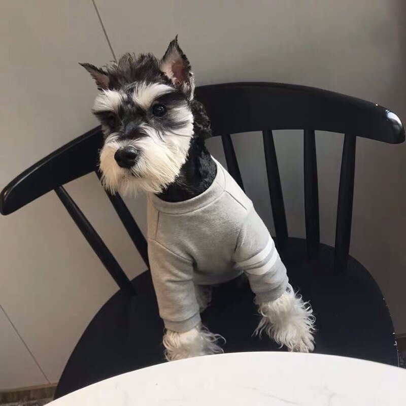 Dog Spring Summer T-shirt Vest Pet Clothes Small M... – Grandado