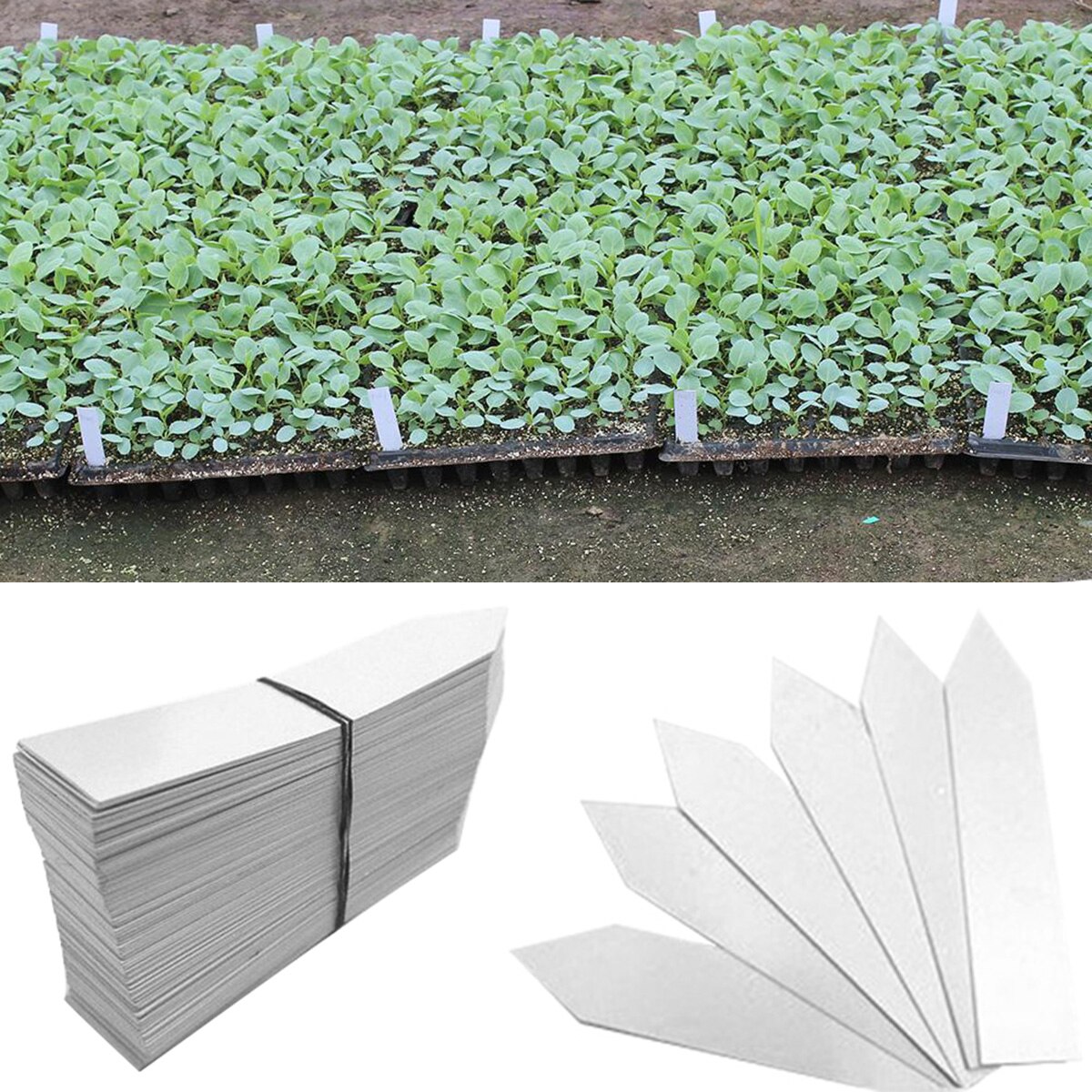 100pcs Plastic Plant Seed Labels Garden Flower Pot... – Vicedeal