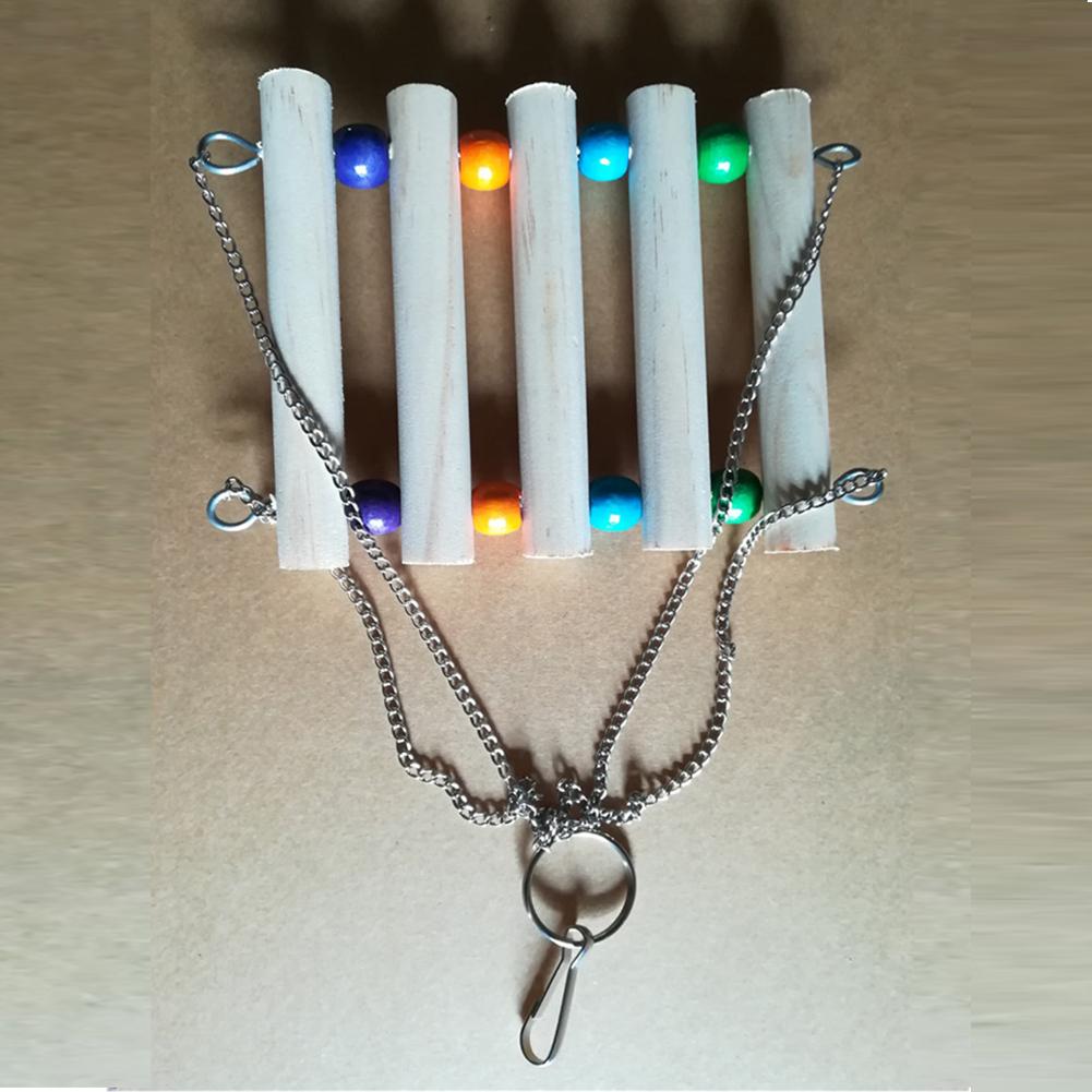 Parrot Toys Macaw Hanging Acrylic with Bells Bites... – Grandado