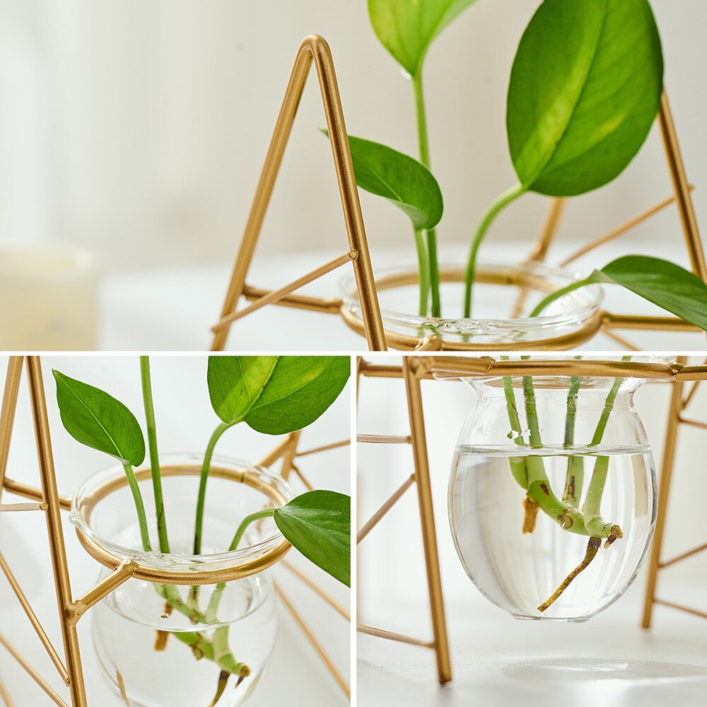 Modern Home Decor Glass Hydroponic Plant Vases Met... – Grandado