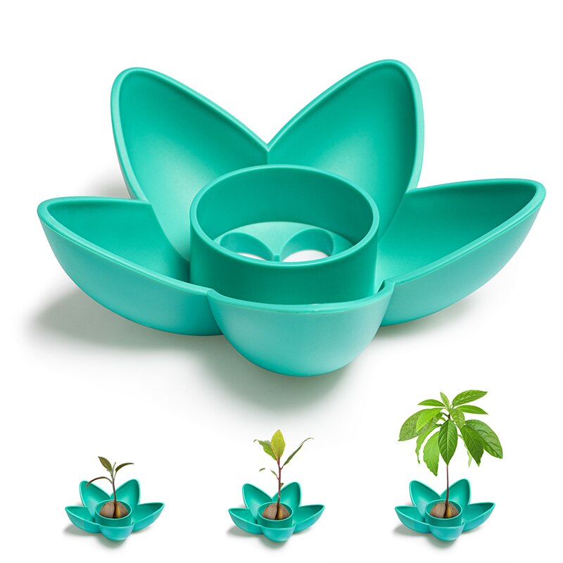 Planting Bowl Plant Indoor Kitchen Garden Practica... – Grandado