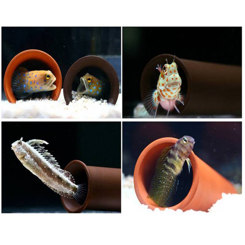 Fish Tank Cave Aquarium Shelter Ceramic Shrimp Spa... – Grandado