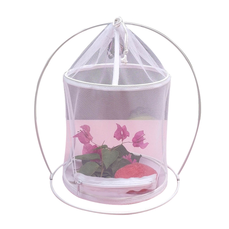 Collapsible Insects Breeding Protective Cage Mesh ... – Grandado