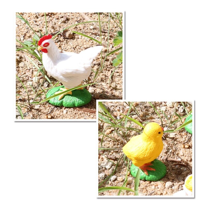 4Pcs Chick Life Cycle Model,Realistic Animal Life ... – Grandado
