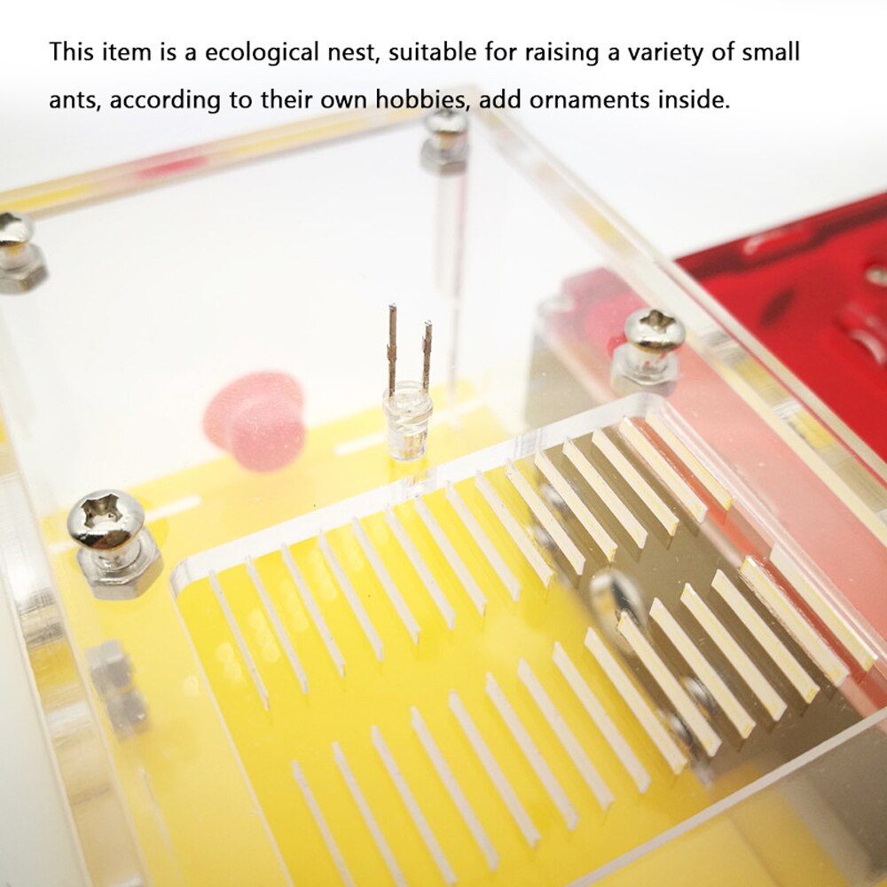X6-A1 DIY Moisture Feeding Area Acryl Ant Farm Ant... – Vicedeal