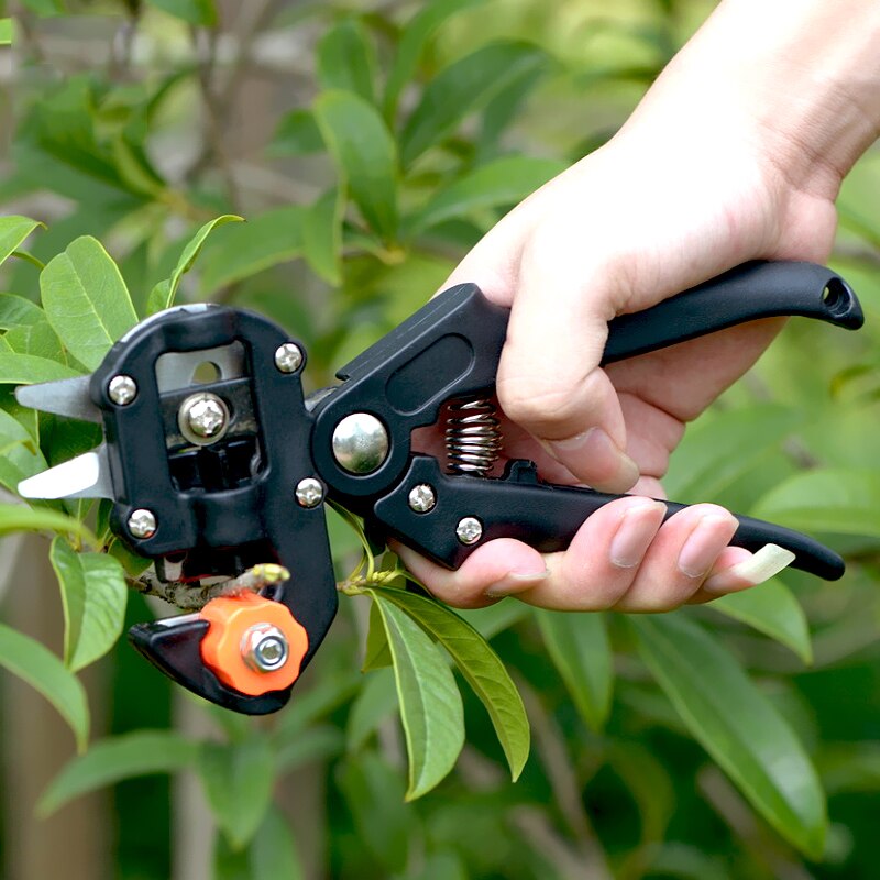 Garden Farming Pruning Shears Scissor Fruit Tree G... – Grandado
