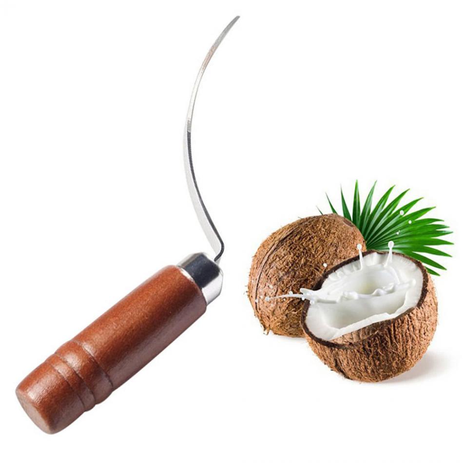 Coconut Tool Stainless Steel Coconut Meat Removal ... – Grandado