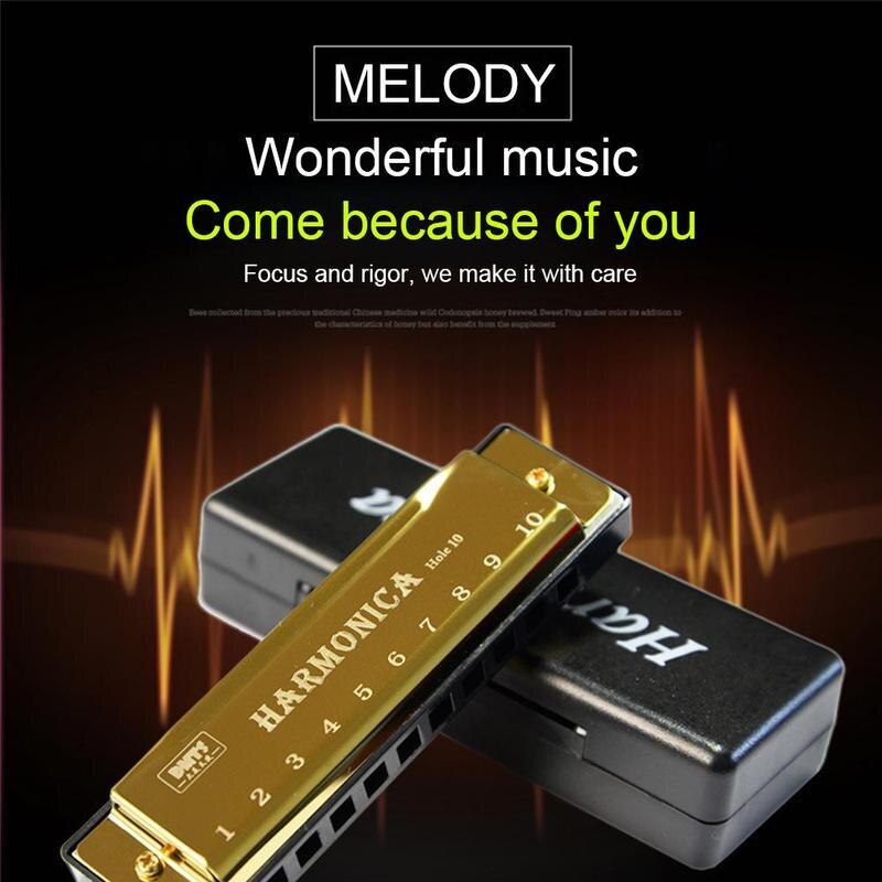 10 Hole Harmonica Metal Harmonica Woodwind Instrum... – Grandado