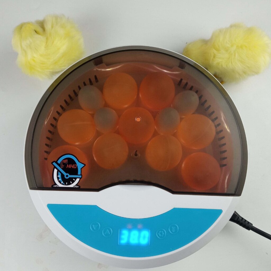 Digital Mini Fully Automatic Egg Incubator with Lo... – Grandado