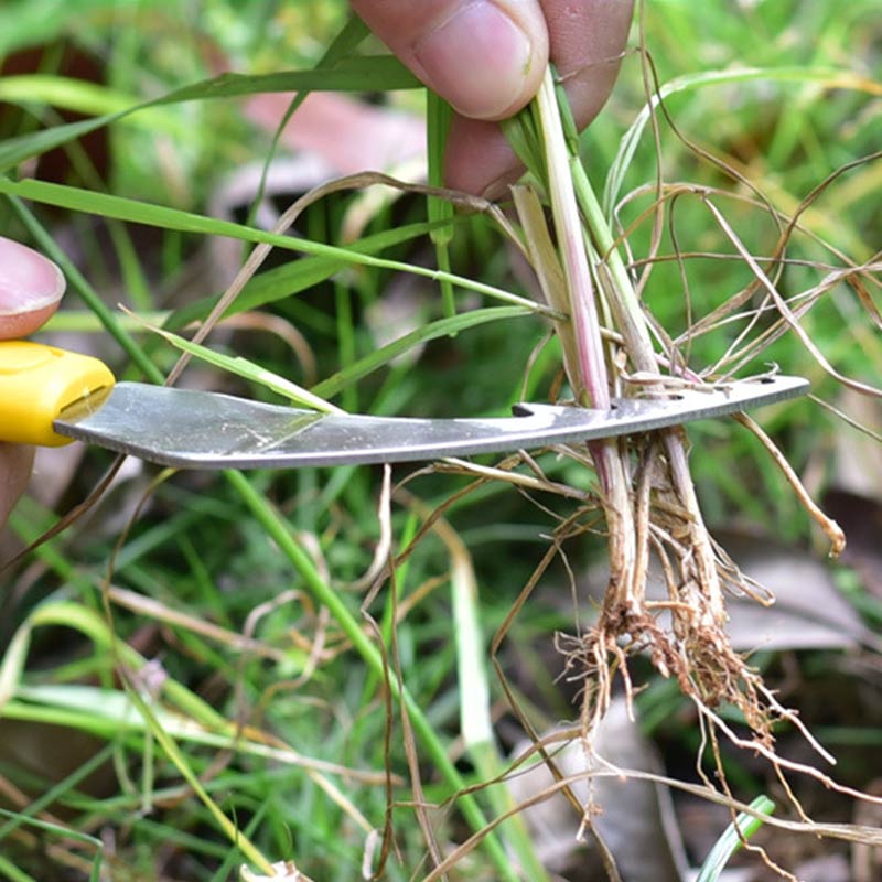 Stainless Steel Grass Sickle with Plastic Handle G... – Grandado