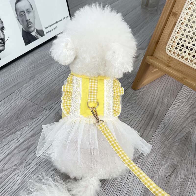 Dog Cat Harness Leash Set Cute Lace Floral Pet Har... – Grandado