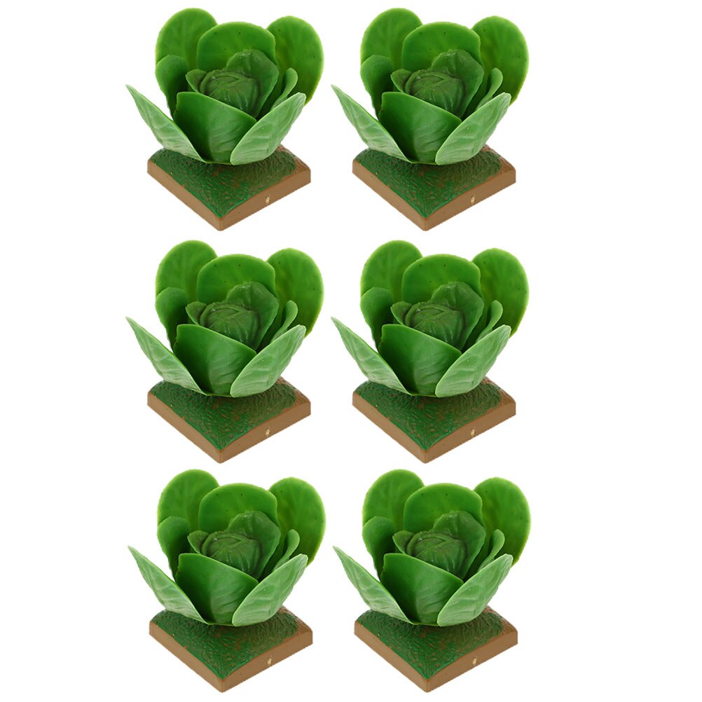 6Pcs Children Decor Playthings Veg Cabbage Models ... – Vicedeal