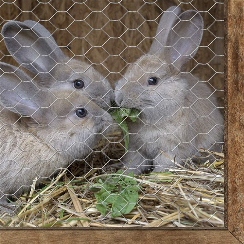 Chicken Wire Net Rabbit Animal Fence Netting Galva... – Grandado