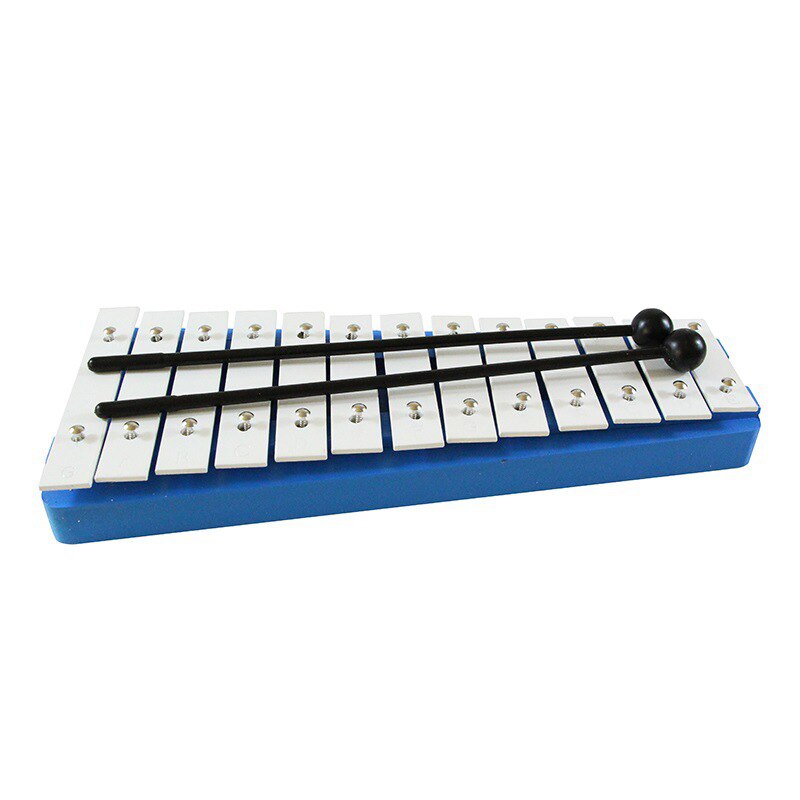 13 Note Xylophone Educational Musical Instrument P... – Grandado