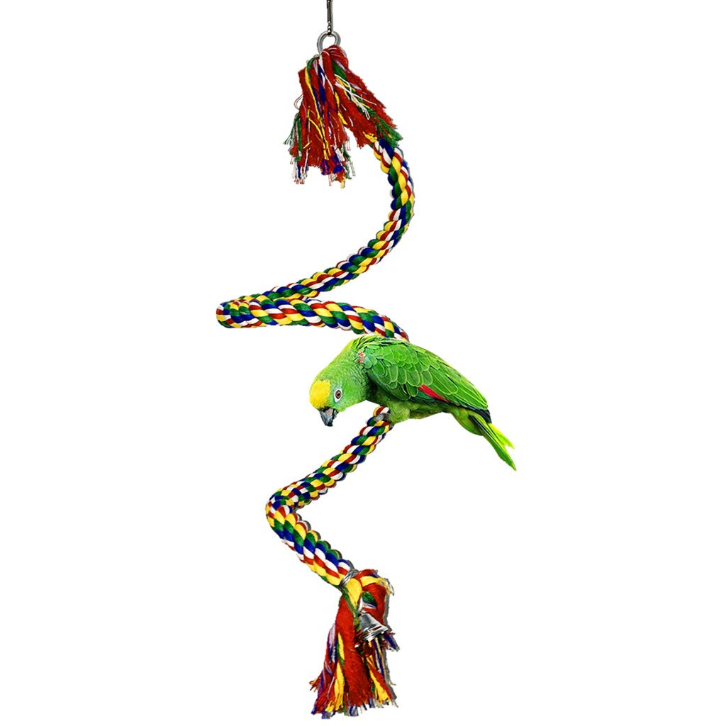 Household Bird Toys products exquisite and good-lo... – Grandado
