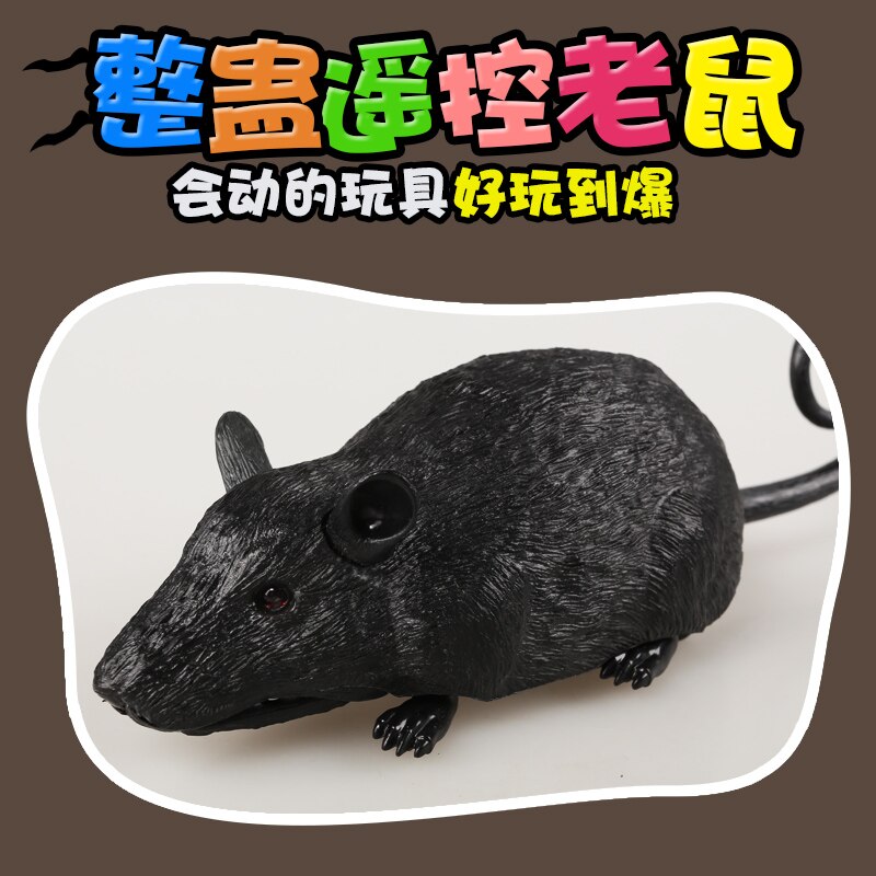 Baby remote control mouse tidy toy novelty infrare... – Grandado