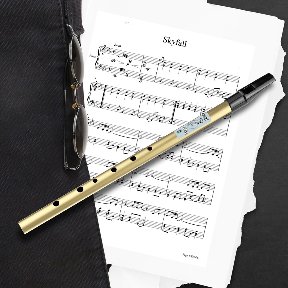 NAOMI 6 Holes Tin Whistle Traditional Irish Penny ... – Grandado