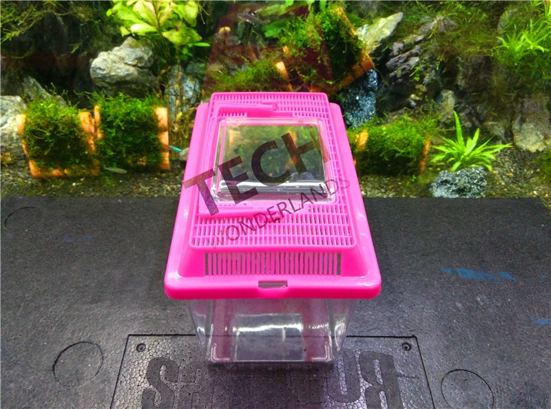 portable Feeding box for Reptile Turtles Tortoise ... – Grandado