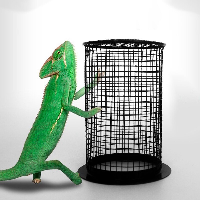 Reptile Heater Guard Anti-Scald Heating Lamp Lamps... – Grandado