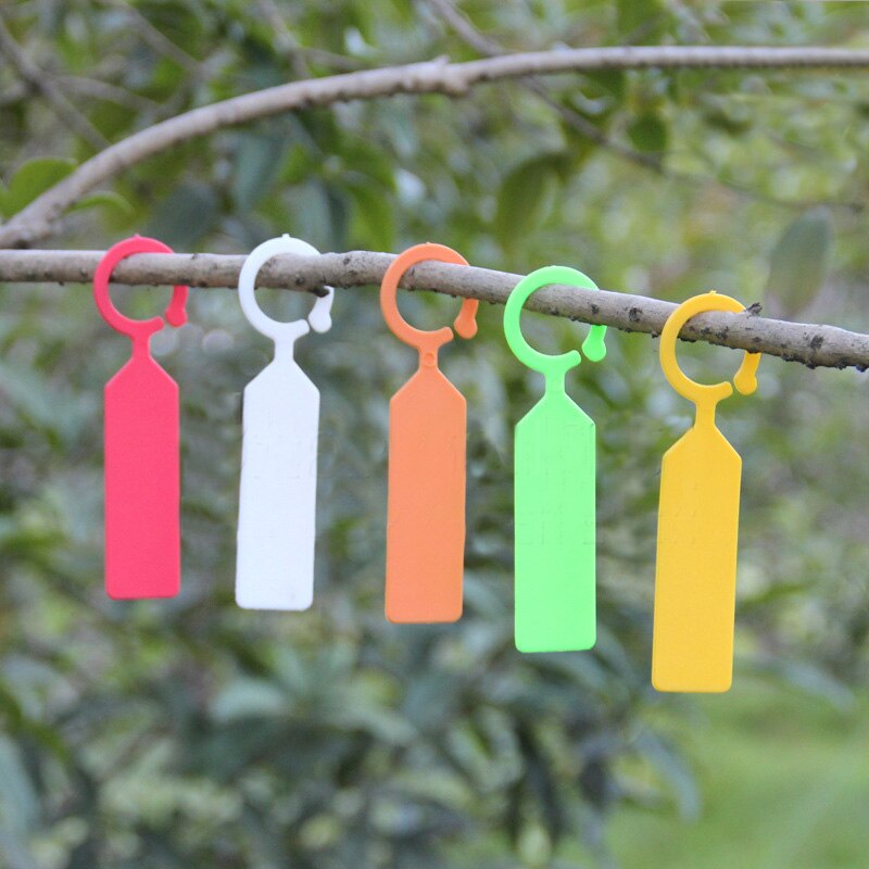 100Pcs/pack Grape Labels Melon Fruit Tags Multifun... – Grandado