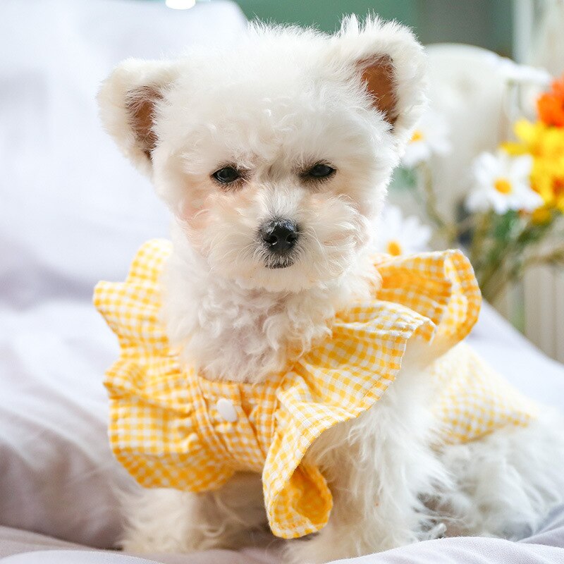 Yellow Color Plaid Chihuahua Dog Dresses Pet Cloth... – Vicedeal
